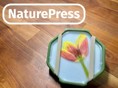 3D Printed Biology Models - MakerWorld