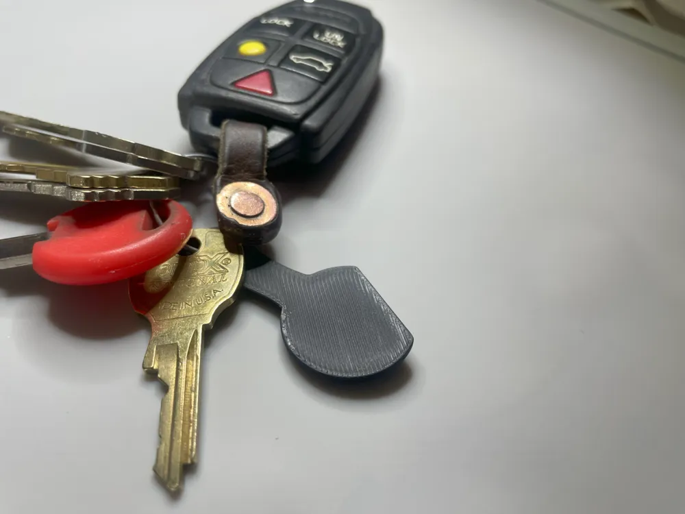 Removable Shopping Cart Coin Keychain by Randers_manders - MakerWorld