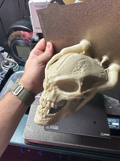Extraterrestrial Alien Enigma Skull by heyderekp MakerWorld: Download ...