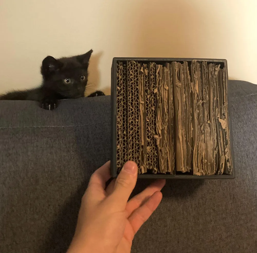 Cat Cardboard Scratcher by AdriKong - MakerWorld