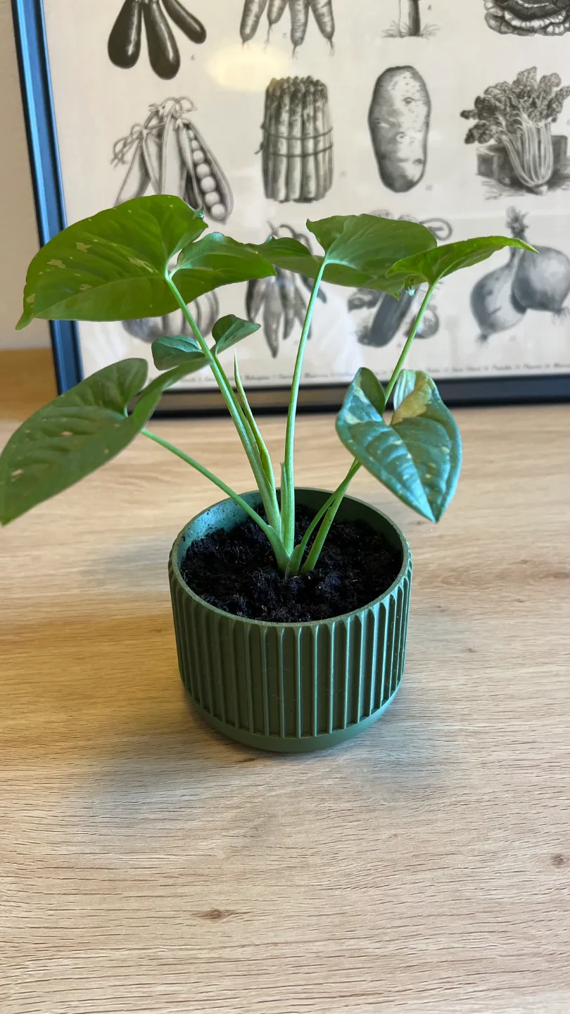 Modern geometric flower pot | planter 100x70 mm - Free 3D Print Model ...