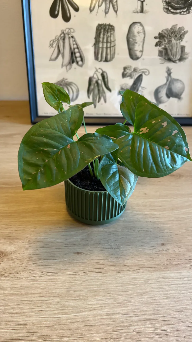 Modern geometric flower pot | planter 100x70 mm - Free 3D Print Model ...
