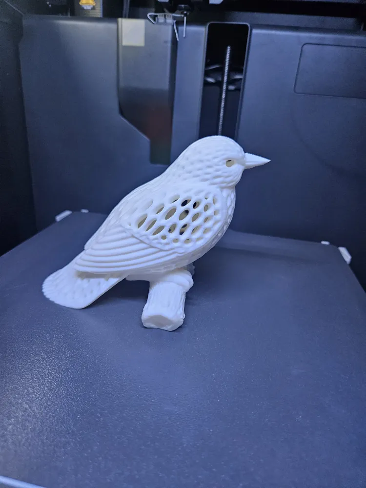 Voronoi Bird | Modern Design Decor - Free 3D Print Model - MakerWorld