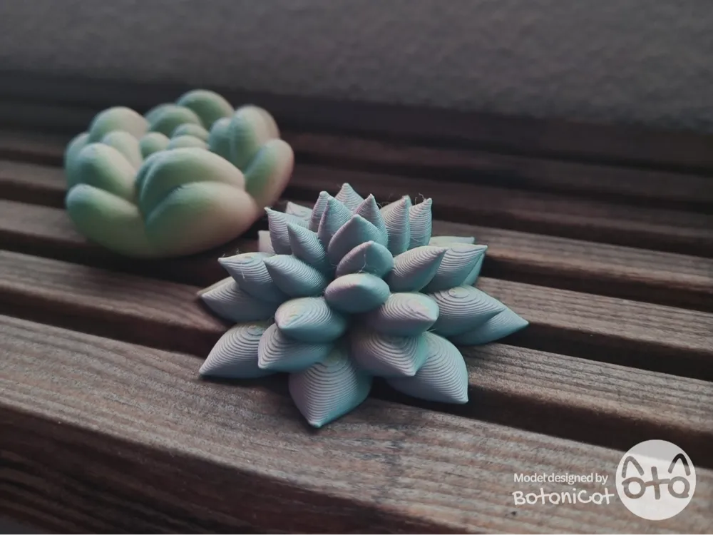 Succulents: Echeveria Agavoides - Free 3D Print Model - MakerWorld