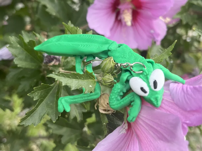 Articulated flexible Praying mantis keychain by Flywooki MakerWorld ...