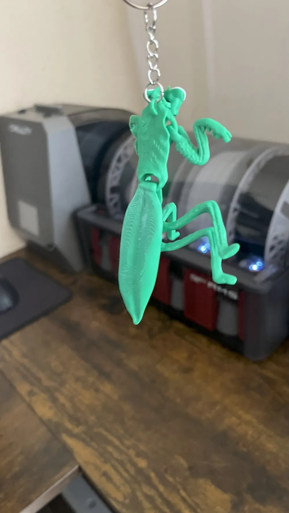 Articulated flexible Praying mantis keychain by Flywooki MakerWorld ...