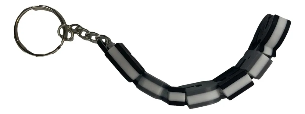 Las Vegas Raiders Flexi Key Chain by sportsamerica MakerWorld: Download ...