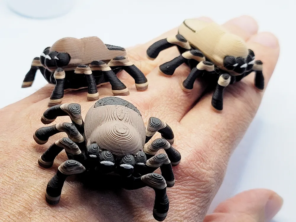 Jumping Spider - Free 3D Print Model - MakerWorld