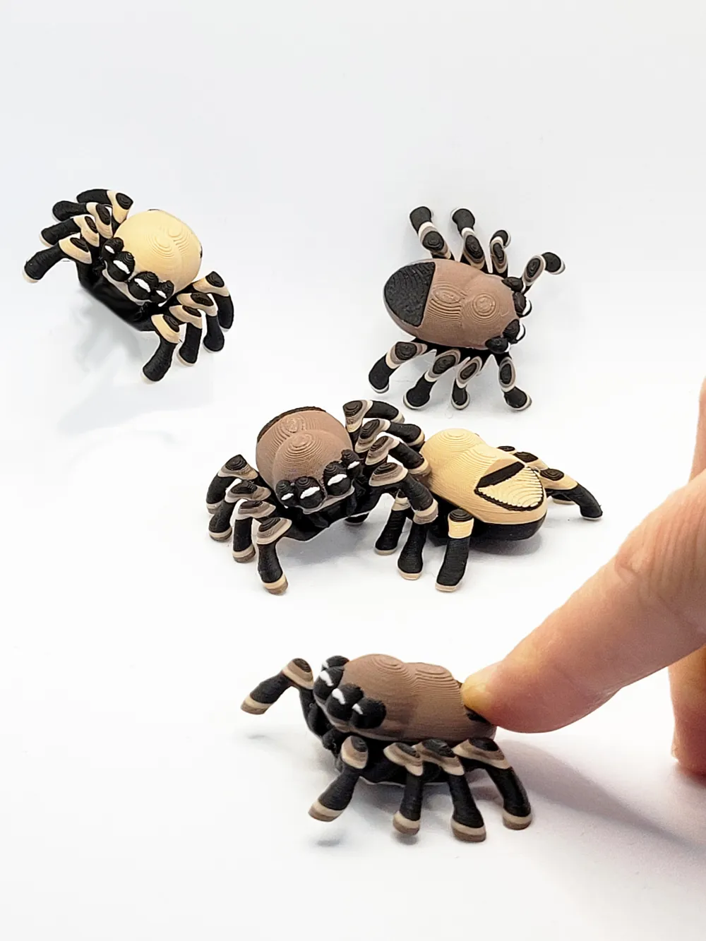 Jumping Spider - Free 3D Print Model - MakerWorld