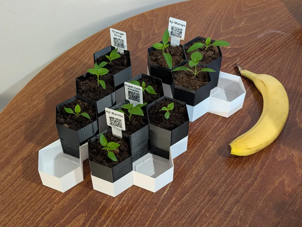 Hexagon plant pot system by KisuArttu - MakerWorld