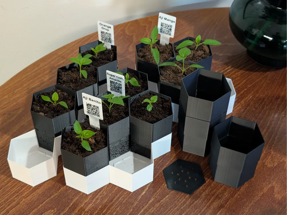 Hexagon plant pot system by KisuArttu - MakerWorld