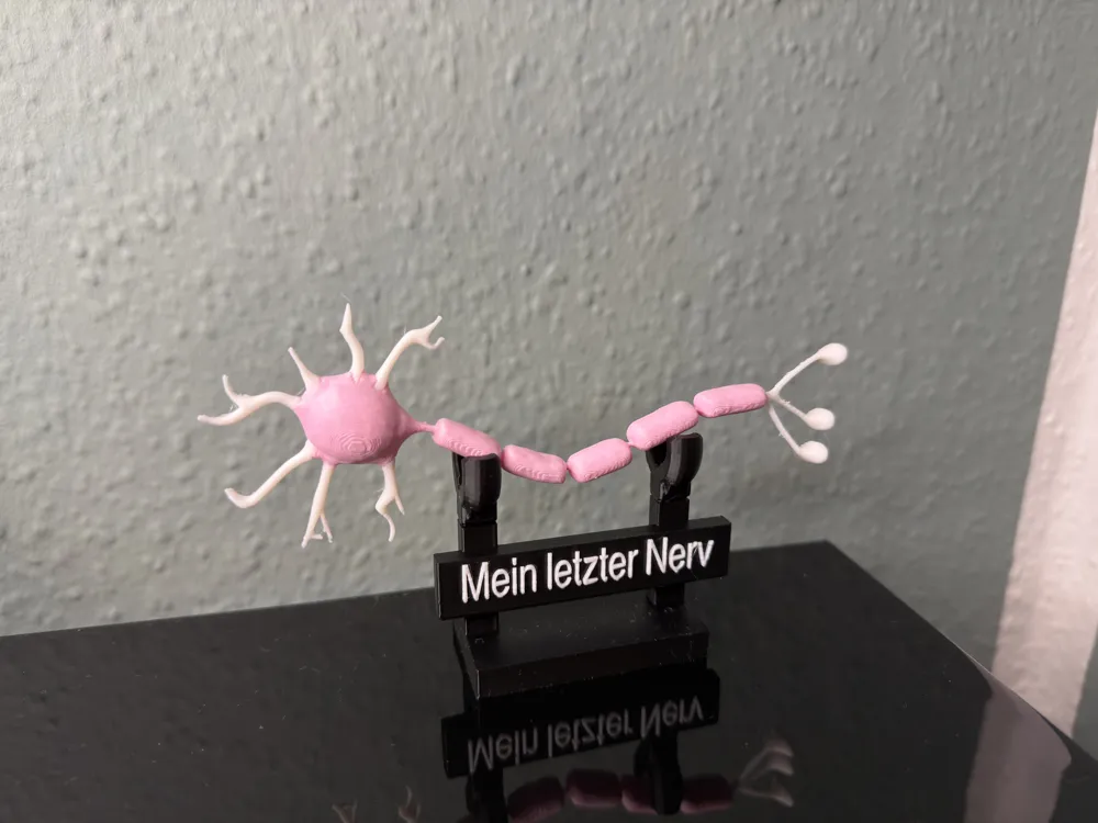 My Last Nerve - Nerve Cell - Free 3D Print Model - MakerWorld