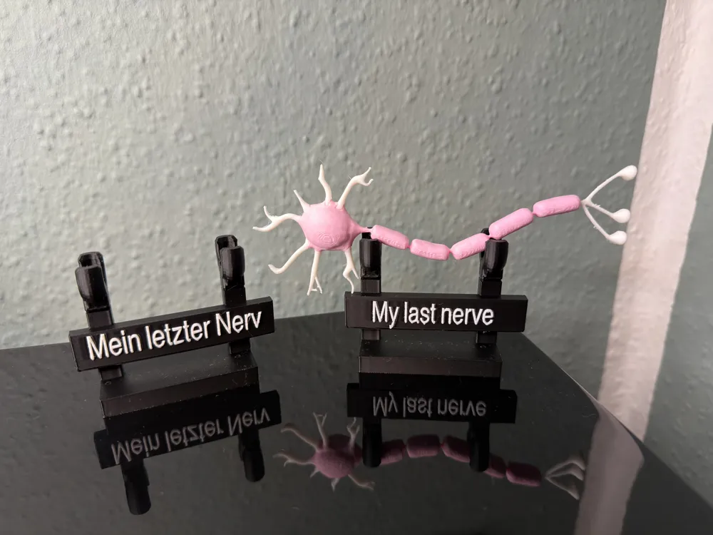 My Last Nerve - Nerve Cell - Free 3D Print Model - MakerWorld