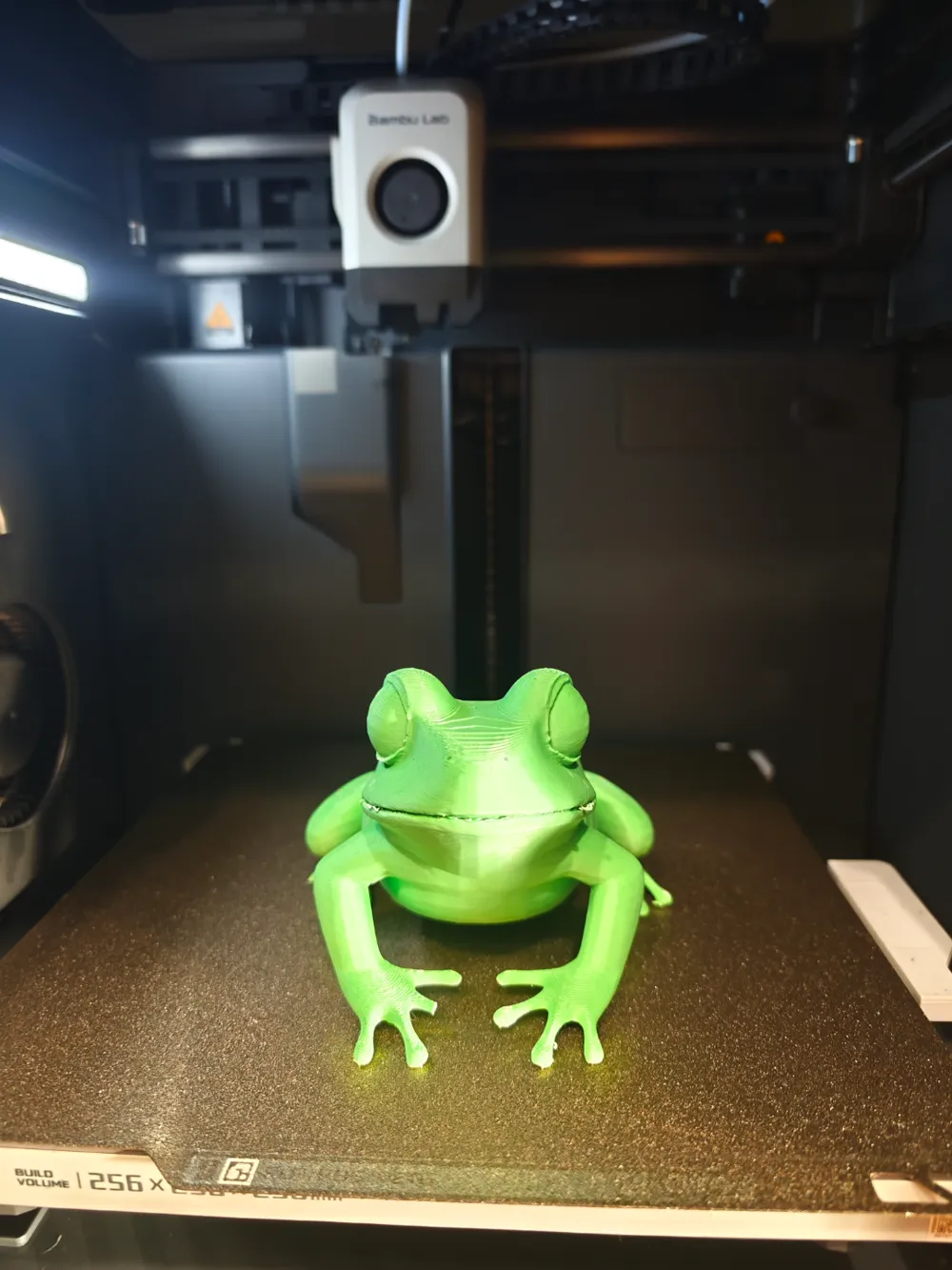 Frog by velkan - MakerWorld