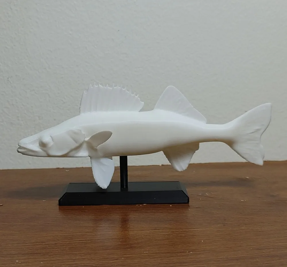 Walleye Fish Mount 2 - Free 3D Print Model - MakerWorld