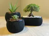Japandi Oval Planter | Modern Bonsai & Plant Pot - Free 3D Print Model ...