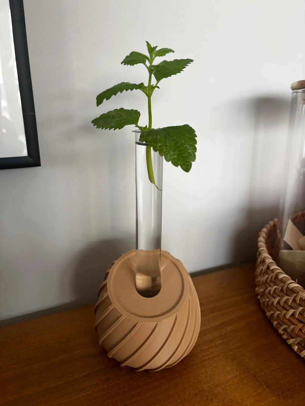 Spiral Test Tube Vase by LnsDlr MakerWorld: Download Free 3D Models