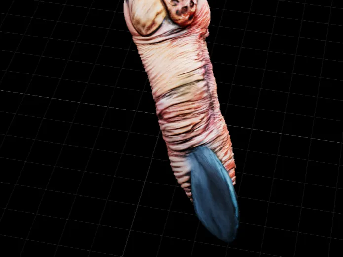 Sukuna's Finger - Jujutsu Kaisen - Free 3D Print Model - MakerWorld