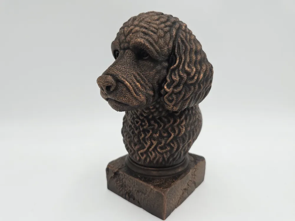 LABRADOODLE BUST by Messy_Panda MakerWorld: Download Free 3D Models