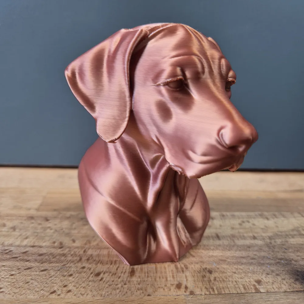 Rhodesian Ridgeback Bust by Mr.Jay MakerWorld: Download Free 3D Models