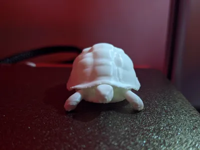 3d printed tortoise - MakerWorld