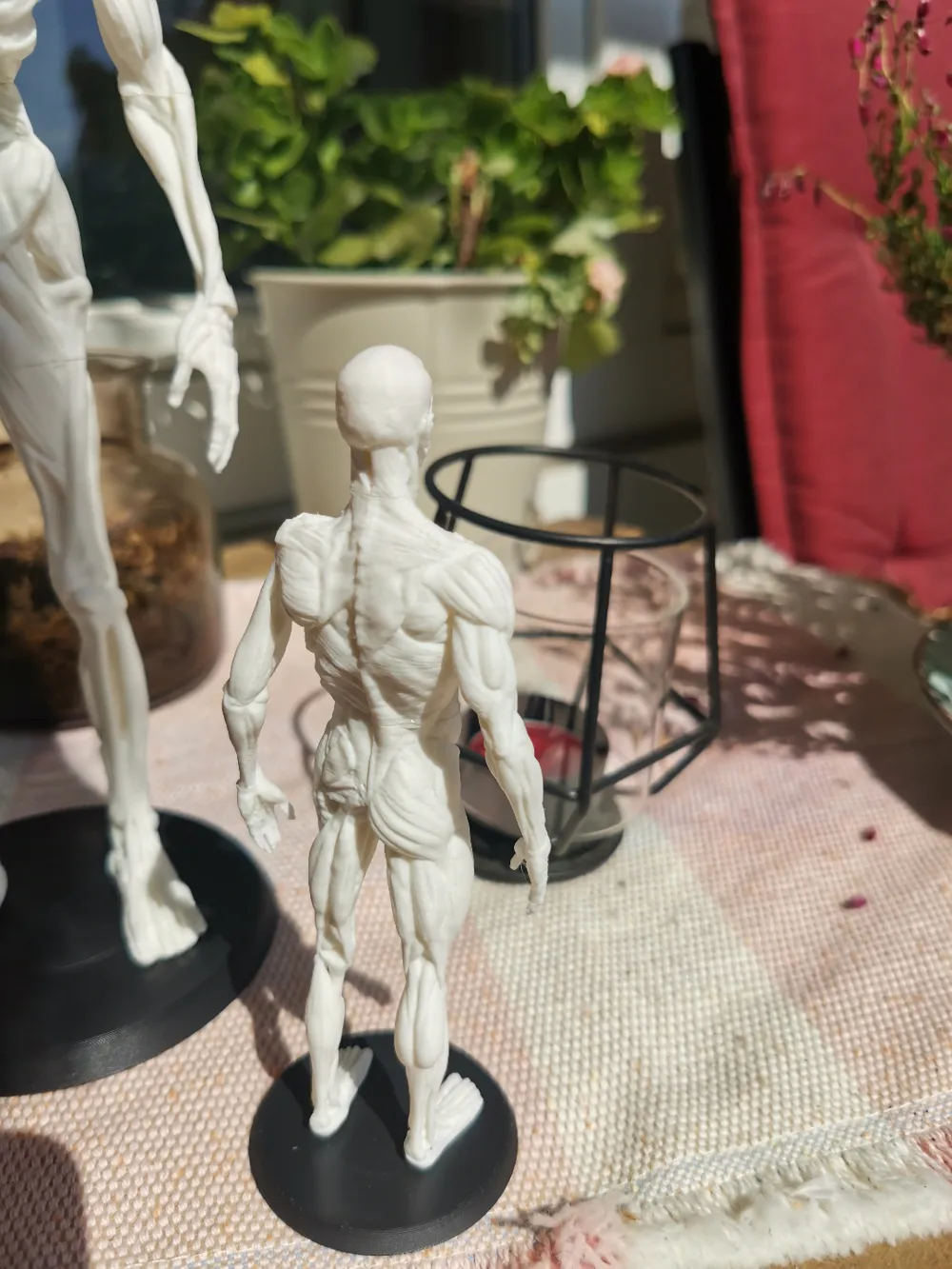 Ecorche (Easy Assembly) - Human Anatomy (12 cm) Remixed by xipit ...