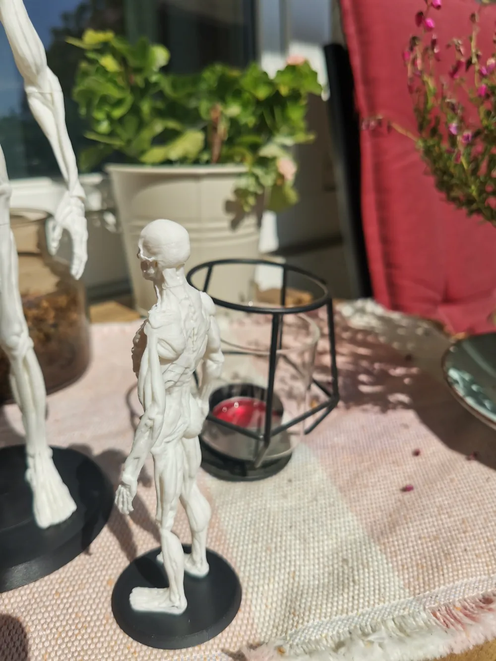 Ecorche (Easy Assembly) - Human Anatomy (12 cm) Remixed by xipit ...