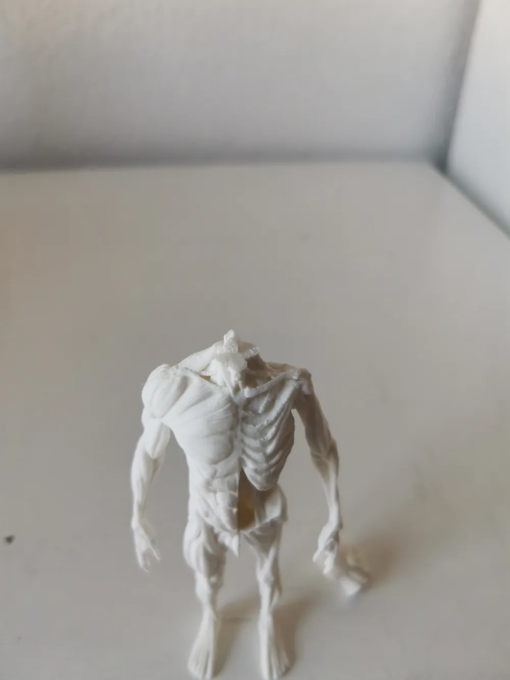 Ecorche (Easy Assembly) - Human Anatomy (12 cm) Remixed by xipit ...