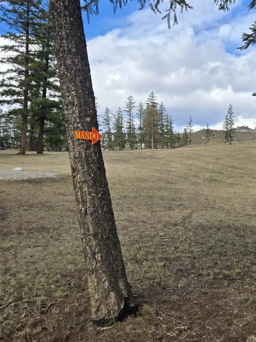 Disc Golf Mando Sign Left and Right - Free 3D Print Model - MakerWorld