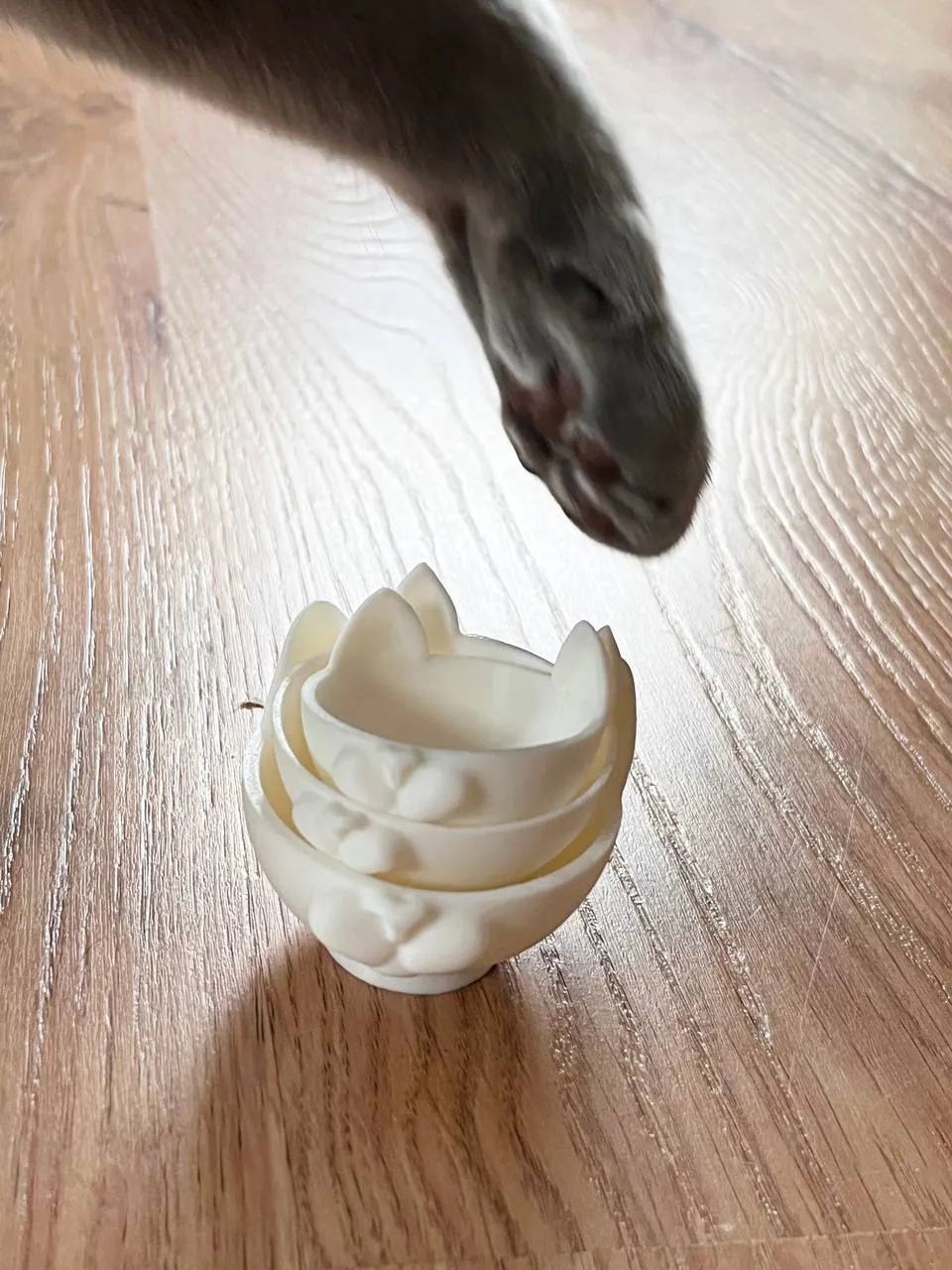 Cat Bowl cute gift by Cy-Bea - MakerWorld