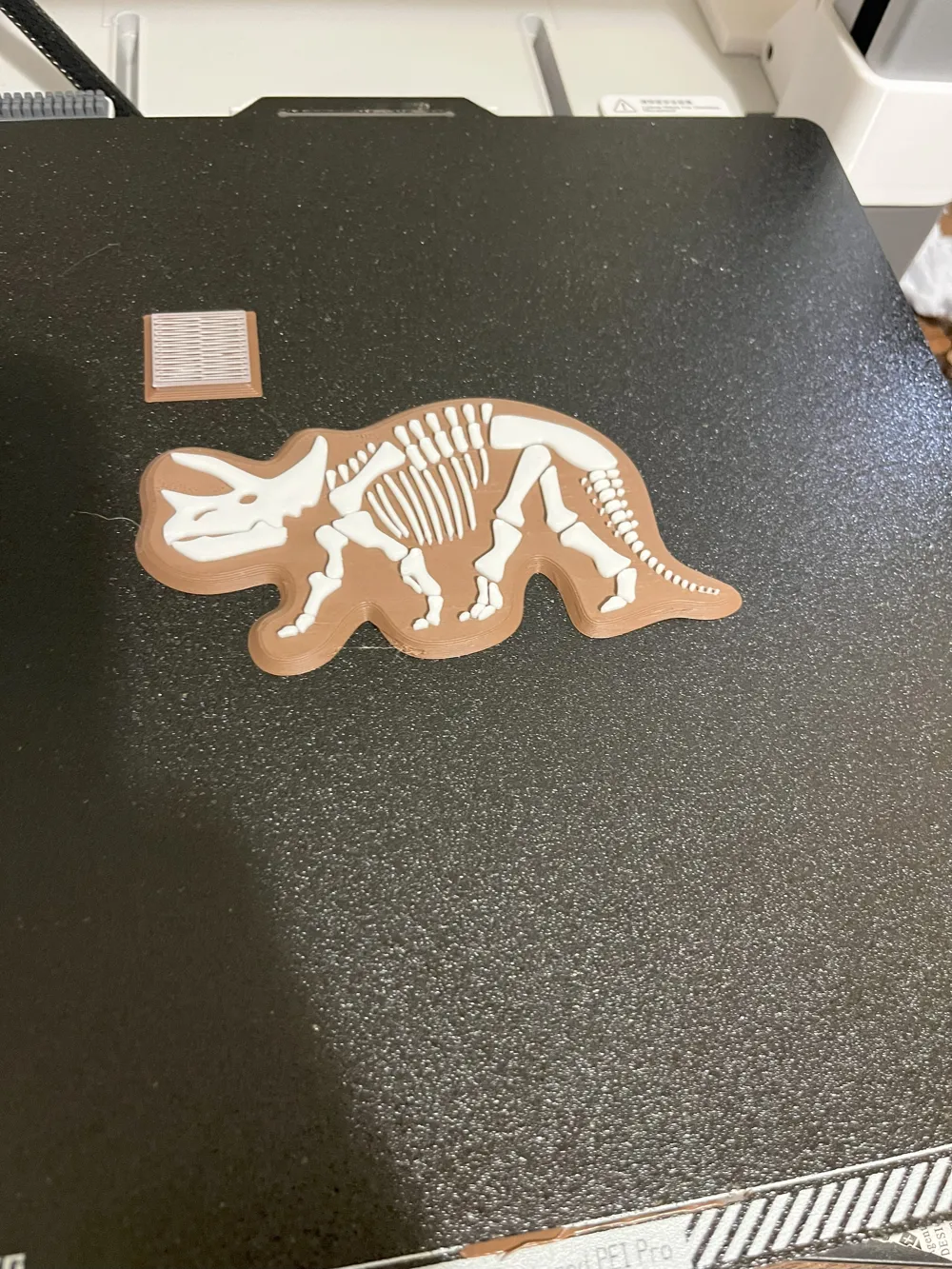 Sandbox Dinosaur Fossils by Pegasus 3D Printing MakerWorld: Download ...