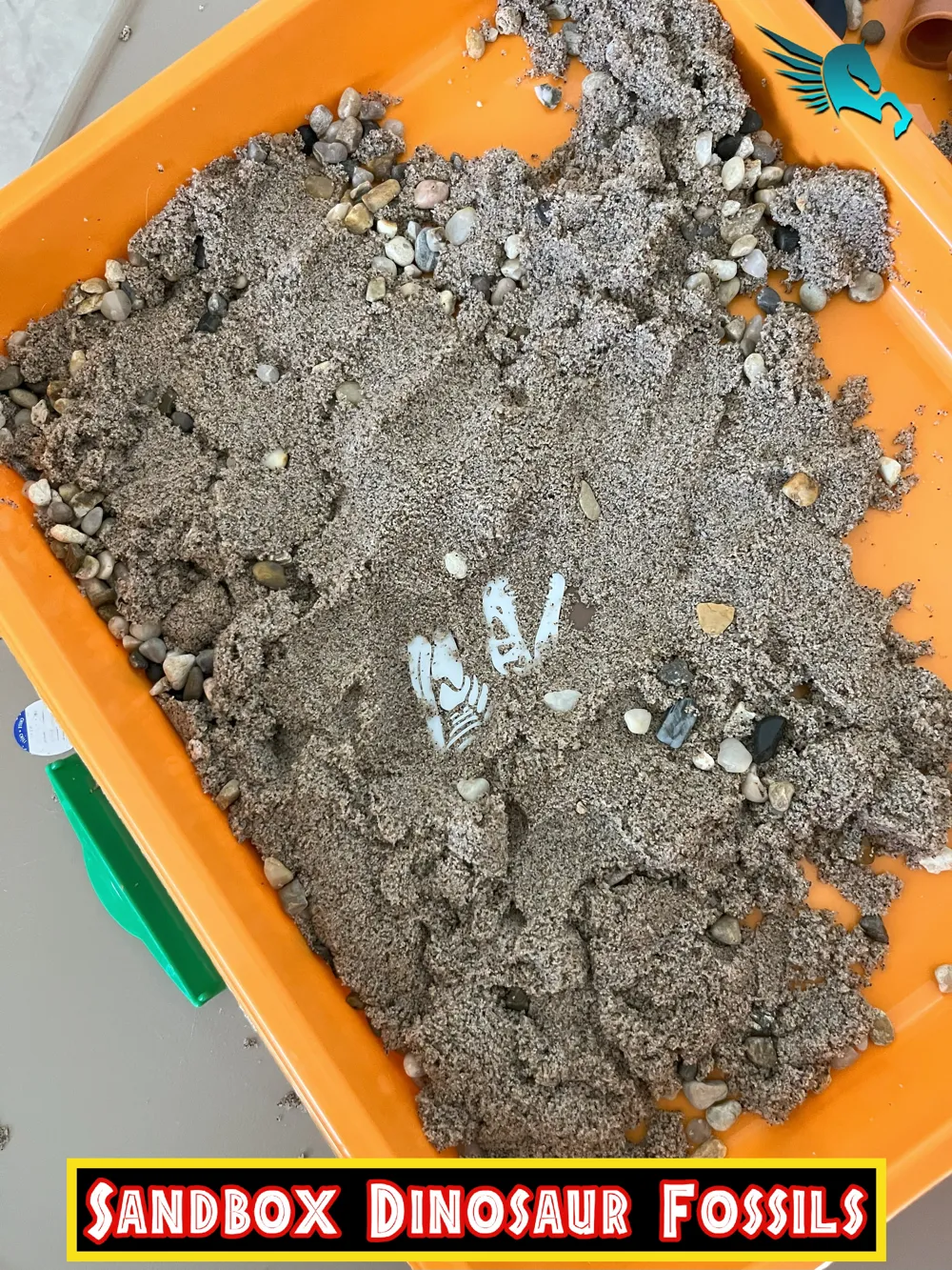 Sandbox Dinosaur Fossils by Pegasus 3D Printing MakerWorld: Download Free 3D Models