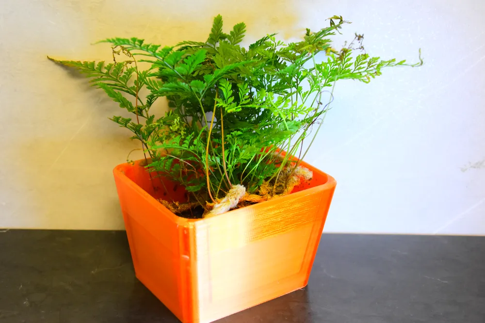 Customizable plant name pot by CC - MakerWorld