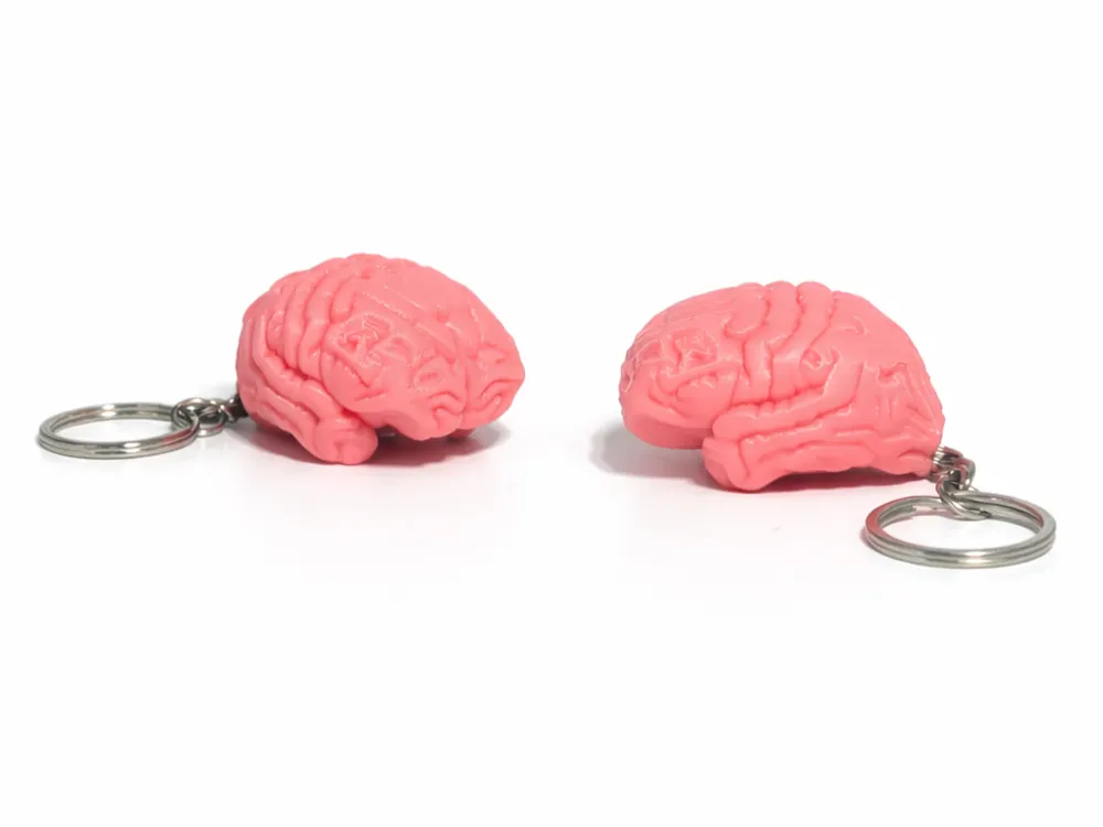Mini Brain Keychain - Free 3D Print Model - MakerWorld