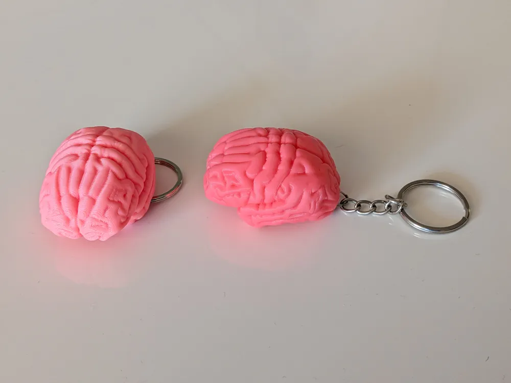Mini Brain Keychain - Free 3D Print Model - MakerWorld