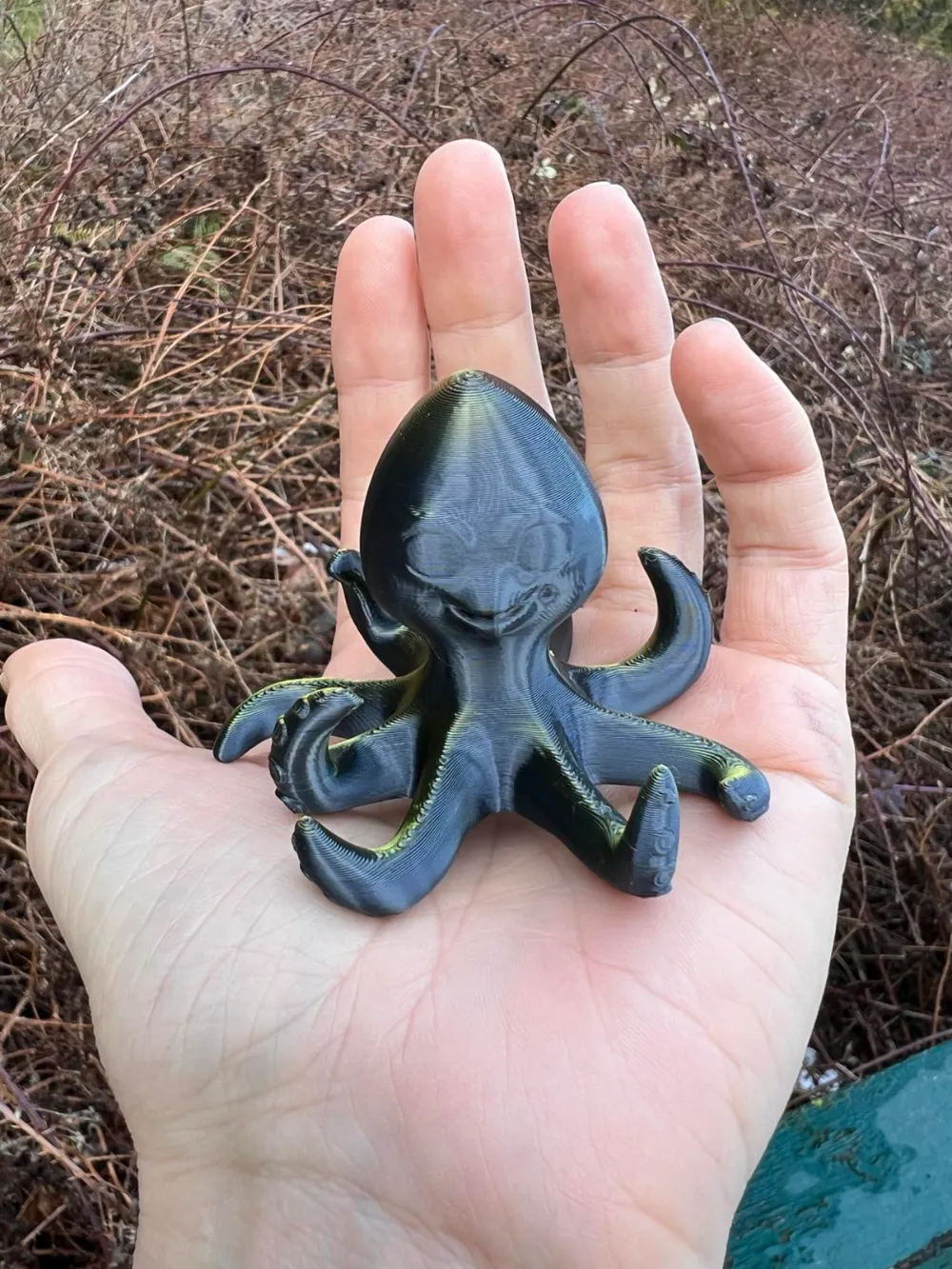Little Octopus (girl and boy) by AcmeArt - MakerWorld