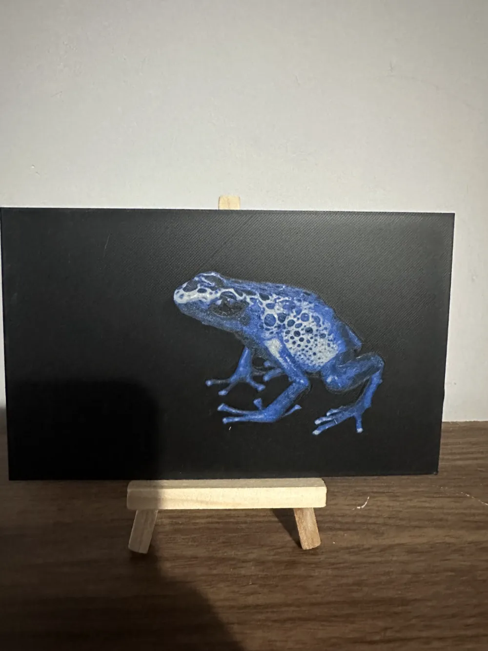 Poison Dart Frog (blue) Hueforge by Grim - MakerWorld