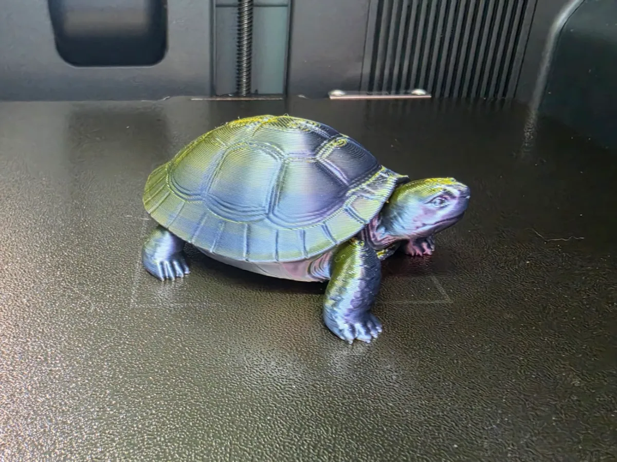 Moorish Tortoise - Animals from around the World - Free 3D Print Model ...