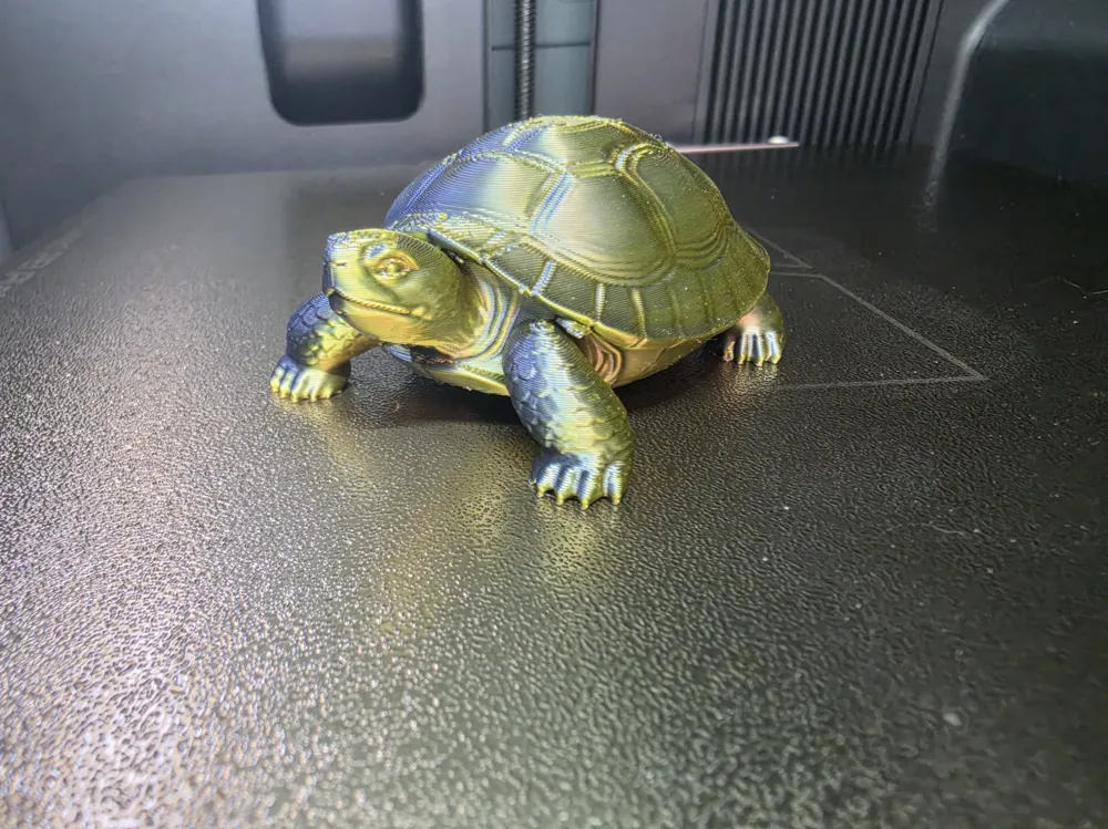 Moorish Tortoise - Animals from around the World - Free 3D Print Model ...