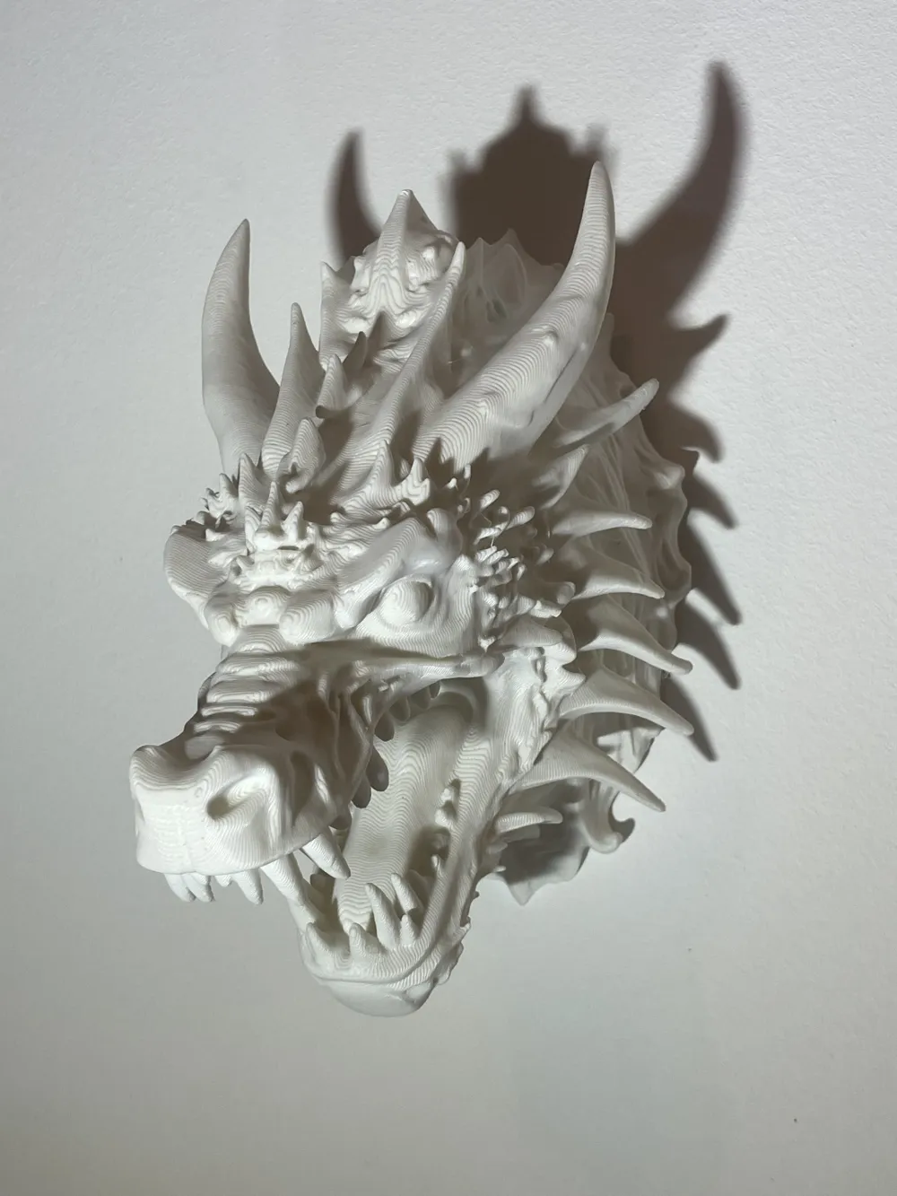 Wall Mounted Dragon Head Trophy - Free 3D Print Model - MakerWorld