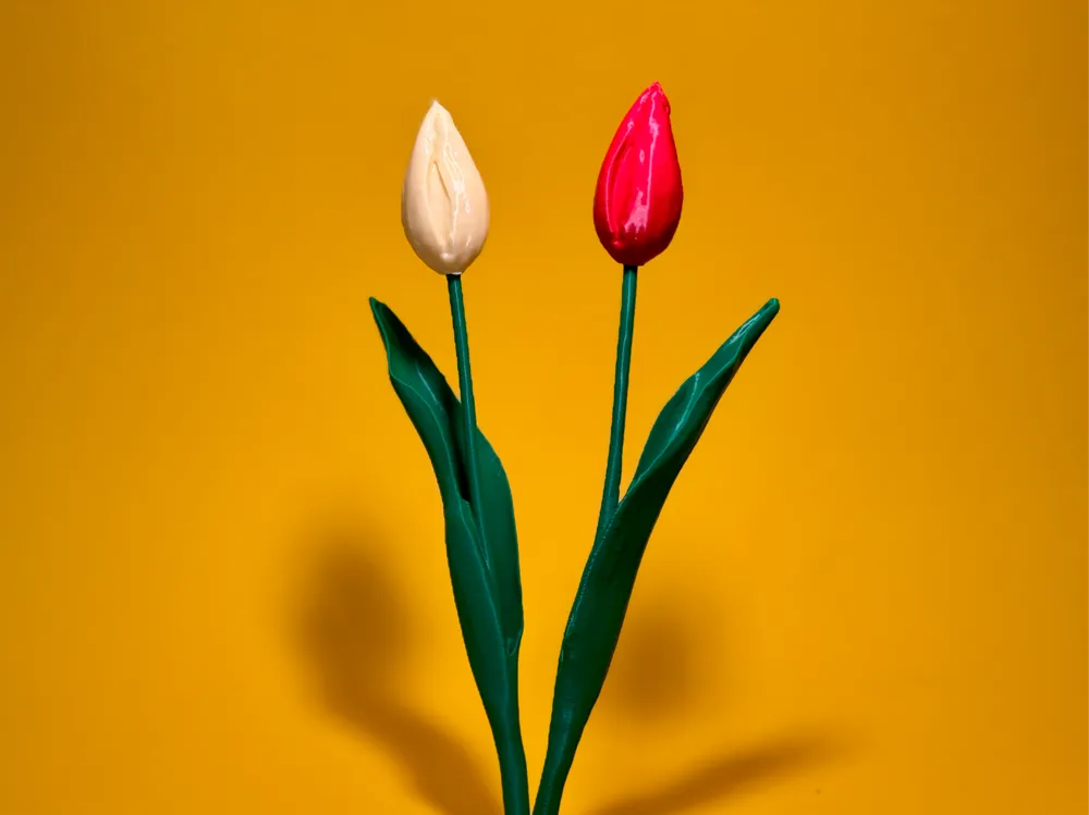 closed Tulip - no AMS - plant - flower - blume by cforms MakerWorld ...