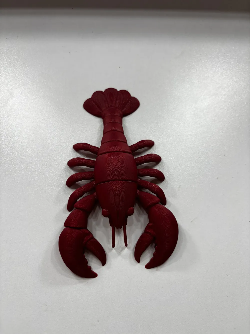 Realistic Lobster - Free 3D Print Model - MakerWorld
