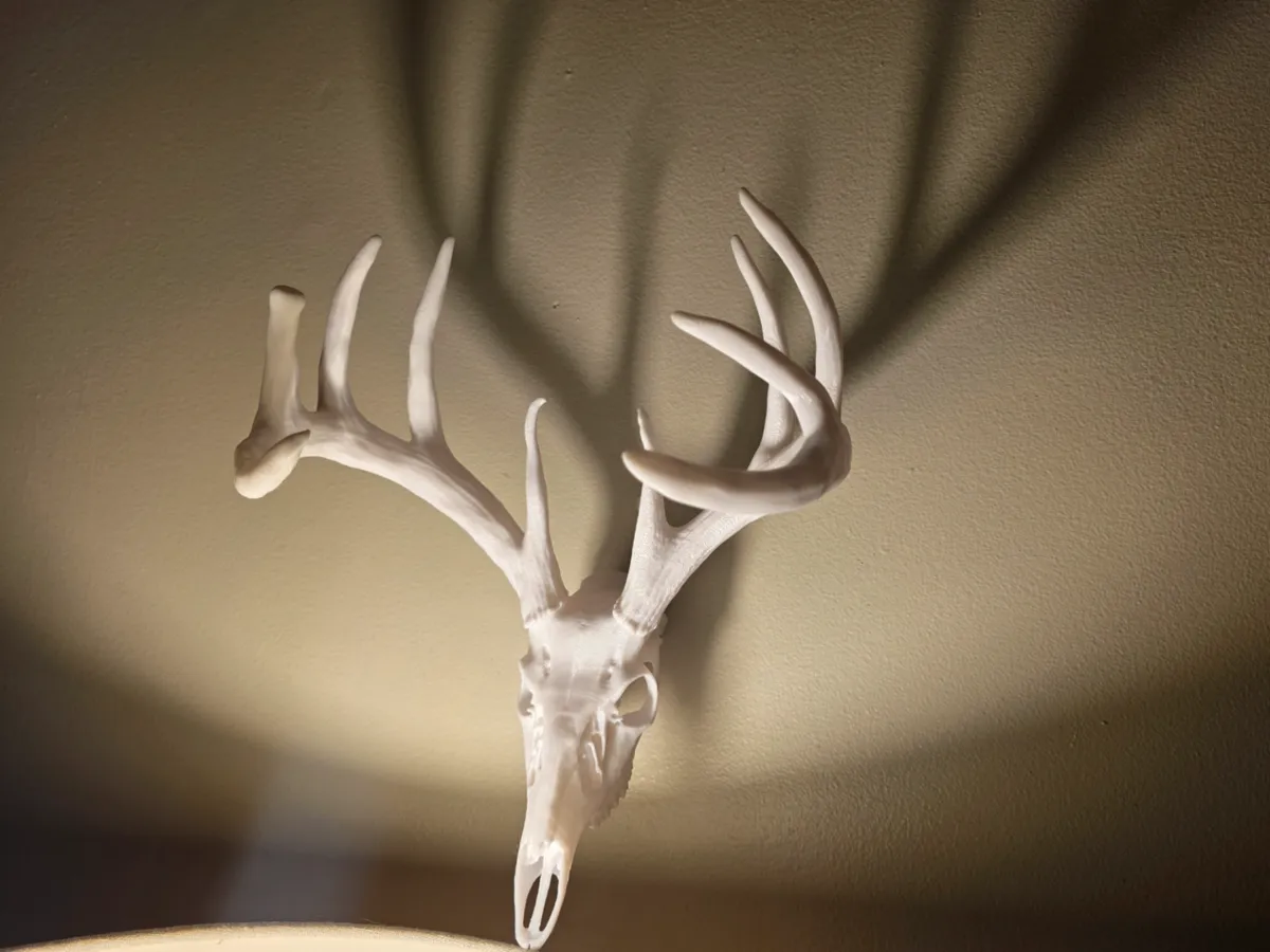 Jordan Buck 2.0 - Deer Skull - Free 3D Print Model - MakerWorld