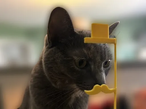 Cat Mustache Prop by End3rE_U$3r MakerWorld: Download Free 3D Models