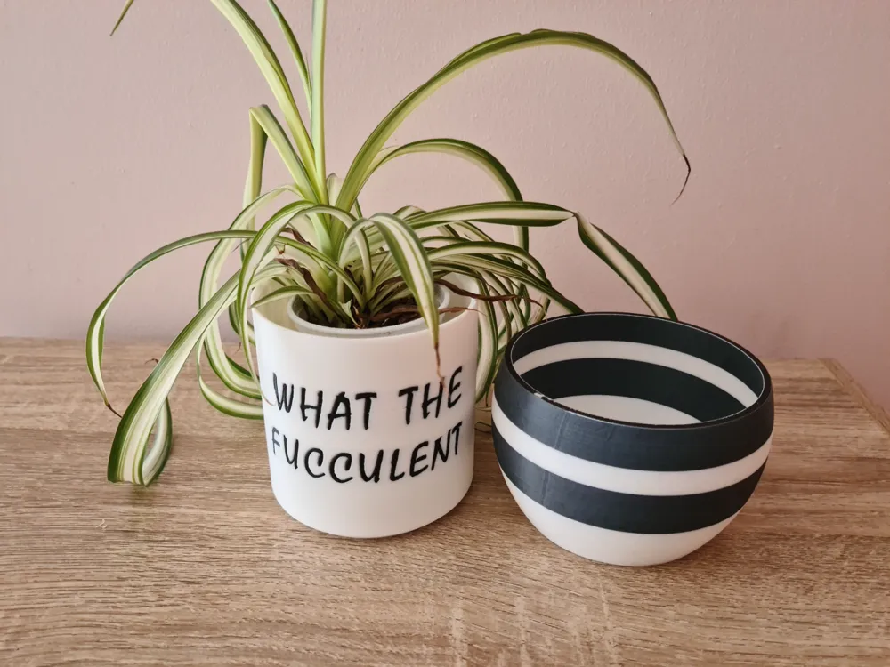 Cheek-E Plant Pots by lryan7310MakerWorld: Download Free 3D Models