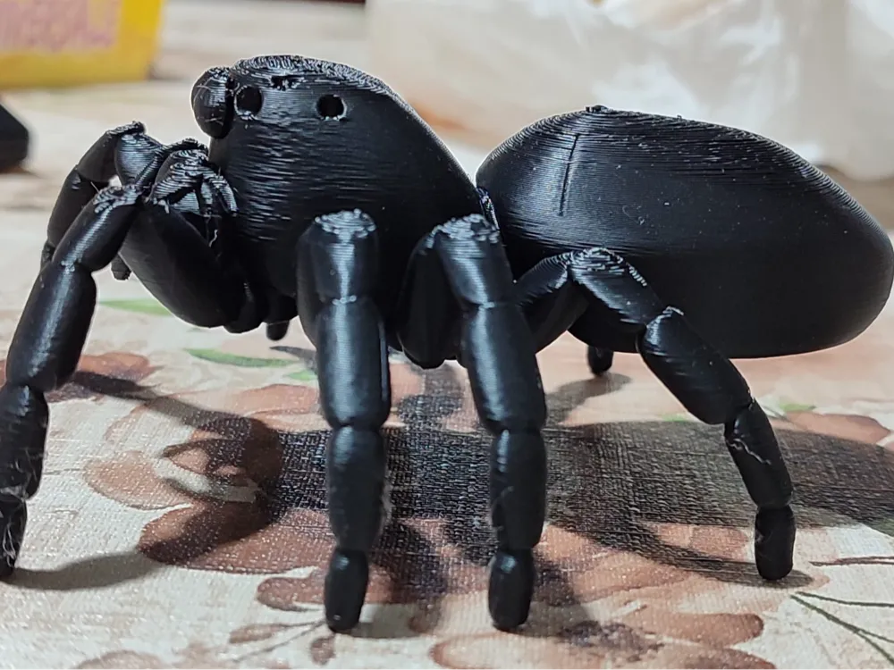spider_phidippus_regius - Free 3D Print Model - MakerWorld