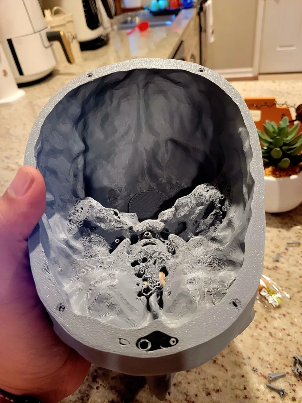 Anatomical Skull model with optional stand - Free 3D Print Model ...