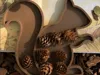 SQUIRREL SENSORY BOARD - Free 3D Print Model - MakerWorld