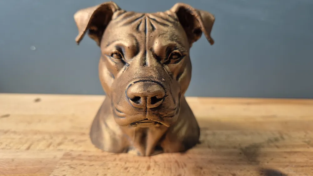 Pitbull (natural ears) Bust by Mr.Jay MakerWorld: Download Free 3D Models