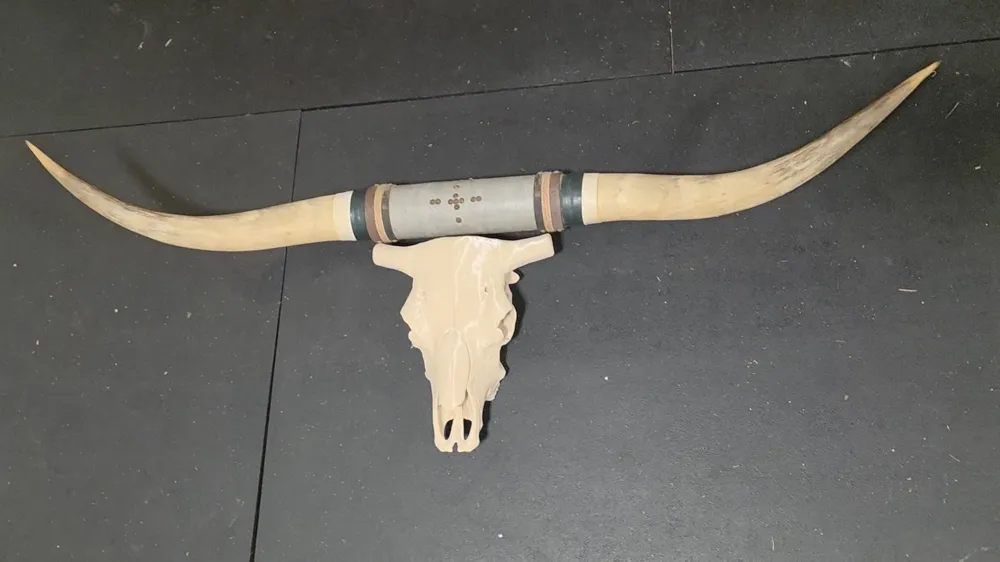 Bull Skull - DIY Horn Mount - Free 3D Print Model - MakerWorld